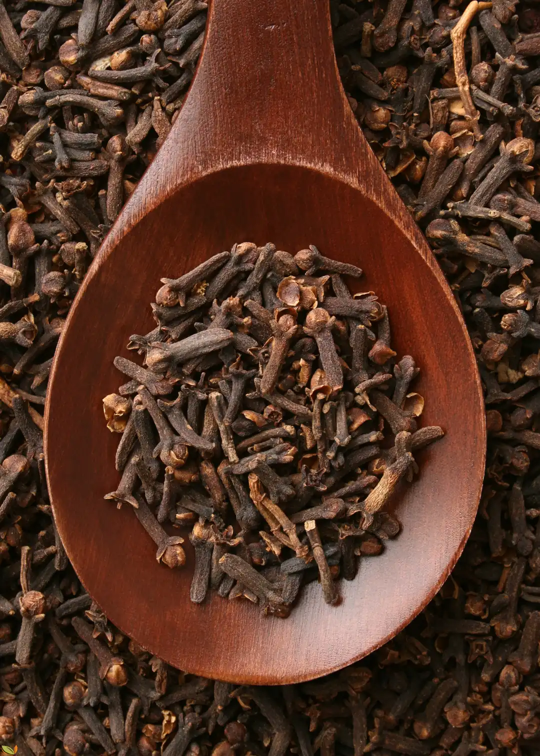 Nelken ganz, Gewürznelken 100g